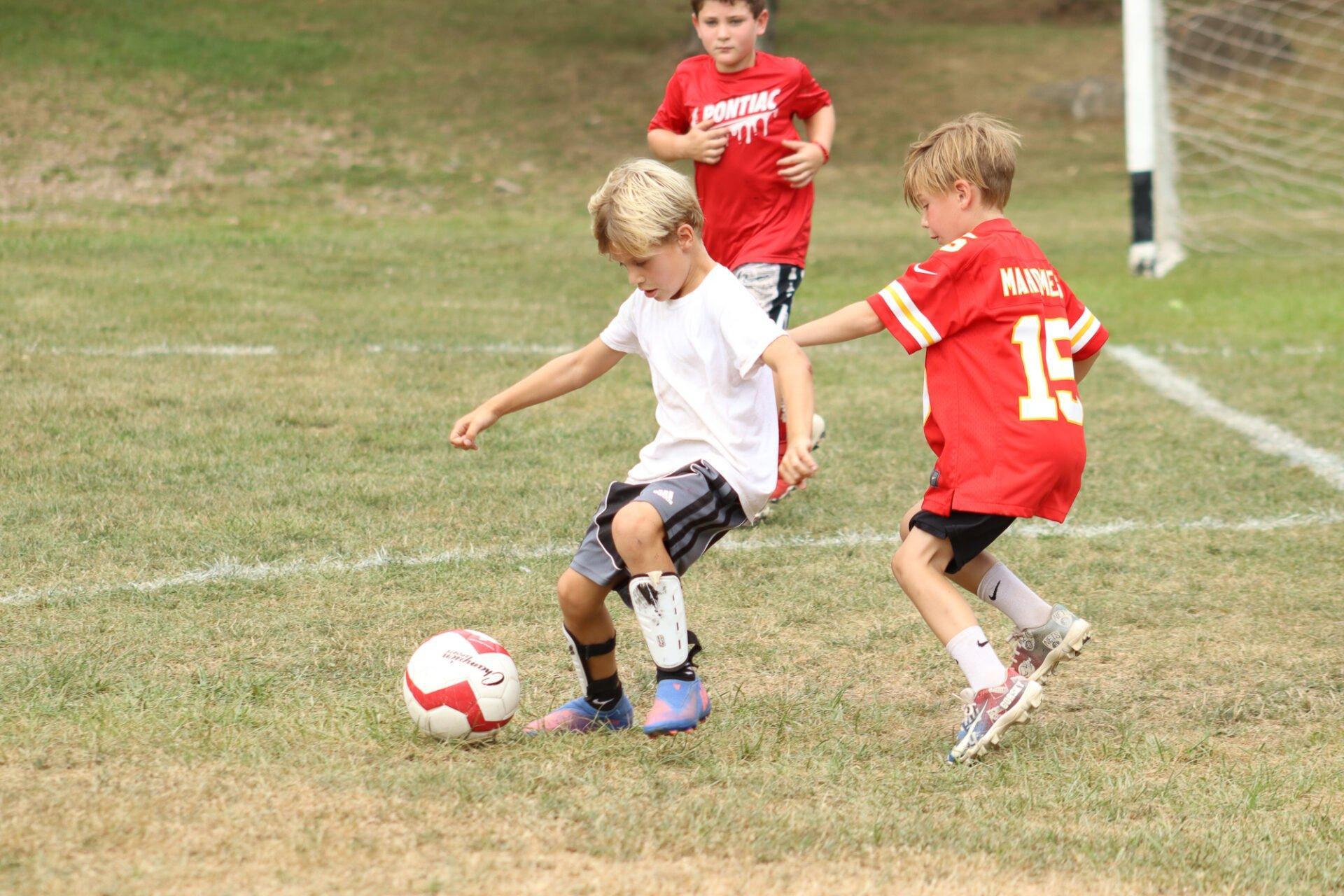 Color War | Color Wars Activities At Camp Pontiac